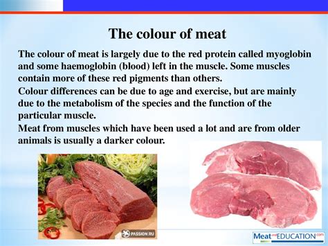 Basic Terms Used In The Industry Of Meat And Meat Products Online