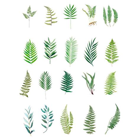 Pinnatisect Leaves Stickers Realistic Pressed Leaf Embellishments Fo