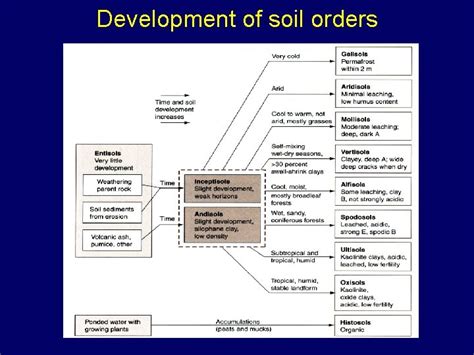 Soil Orders Study Guide Part I These Slides