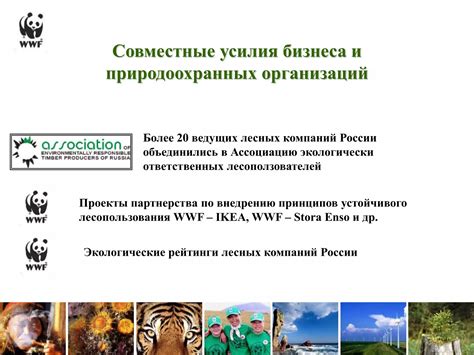 Illegal Logging 1 Ppt