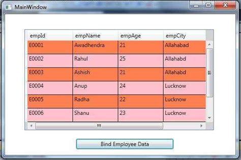 DataGrid Control In WPF MindStick
