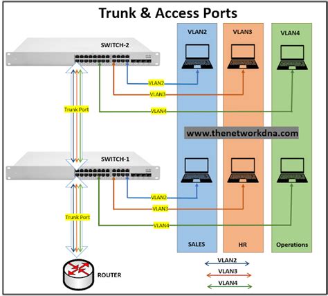 Difference Between Trunk Port And Access Port The Network Dna