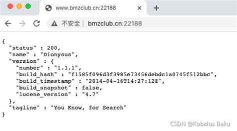 漏洞复现 Cve 2014 3120 Elasticsearch 命令执行漏洞cve 2014 3120 影响版本 Csdn博客
