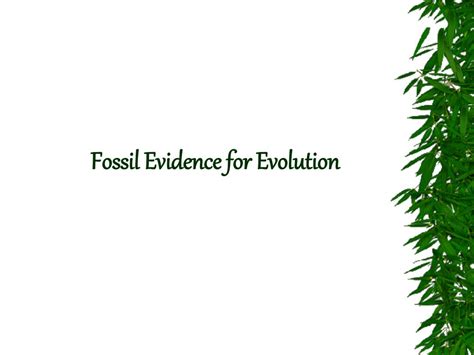 Ppt Fossil Evidence For Evolution Powerpoint Presentation Free