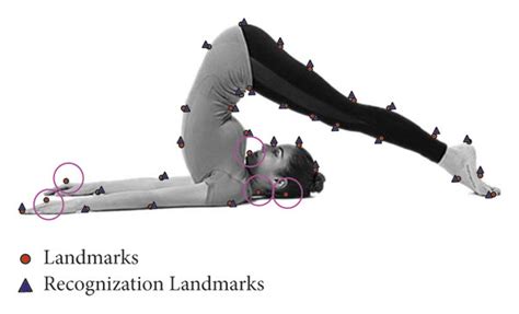 Recognition Results Of Different Algorithms For Fat Reduction Motion Download Scientific
