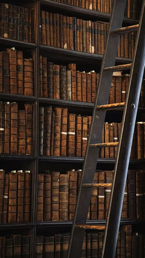 Dark Academia Library Aesthetic 2022 Flash Fiction Stories Bookstore