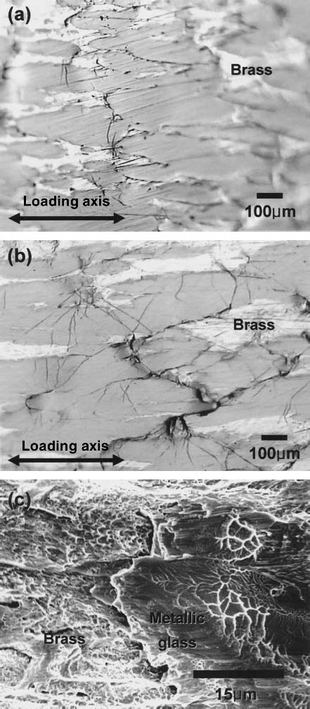 Optical Micrographs Of Specimen Surface A Specimen 1 And B