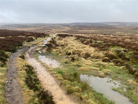 Hosting On Github Pages Watch Out For Subdomain Hijacking