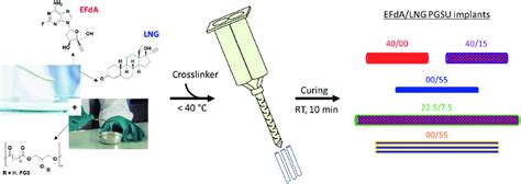 Cartoon Schematic Of Formulation Process Including Left To Right