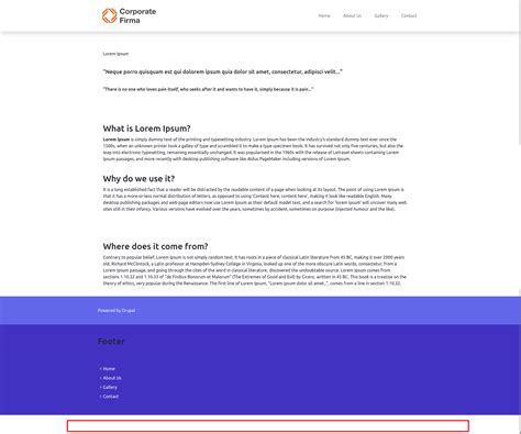 White Space Issue In The Footer Bottom On All Pages Except For The
