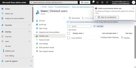 Protected Actions Protect Hard Deletions Of Objects LazyAdmin