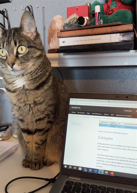 Latino Heritage Internship Program Beginning My Gis Journey