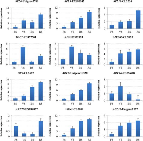 Rt Qpcr Validation Of Putative Target Genes At Different Development Download Scientific
