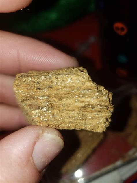 Gold Flakes And Gold Mini Chunks In Compacted Dirt Rgold