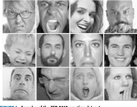 Figure 1 From A Lightweight Convolutional Neural Network For Real Time Facial Expression