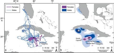 A Gps Tracks 10 Min Interpolated And B Kernel Density Estimates