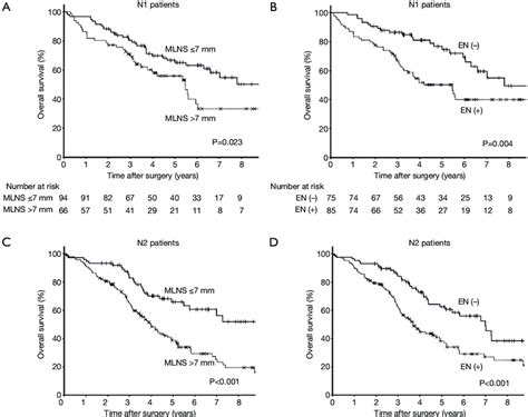 Overall Survival Curves Of N1 Patients Stratified According To The Mlns Download Scientific