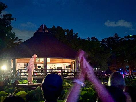 Yohas 2024 夜の千葉公園で21時まで！ Yohas 夜ハス／大賀ハスまつり夜の部 千葉公園