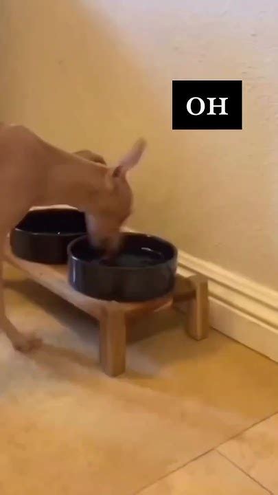 Приятное ниже пояса секс Sex юмор Youtube