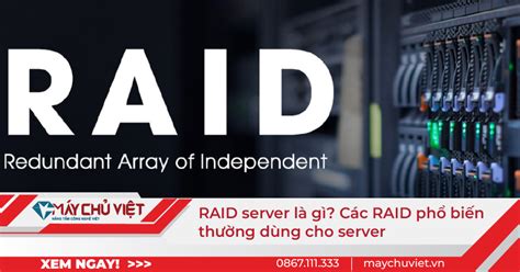 RAID server là gì Các RAID phổ biến thường dùng cho server