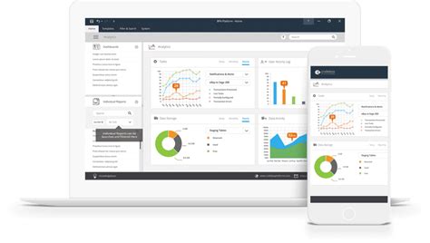 Codeless Platforms Treefrog Inc