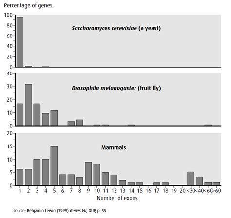 Excel In Ib Biology Hl Paper 2 With Expert Coaching Tychr