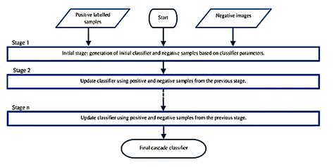 Fully Automated Solution For Stomata Detection And Measurement Plant Stomata Encyclopedia