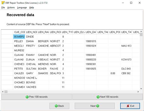 DBF Repair Tool For Corrupted FoxPro Clipper And Other DBase IV Database Files