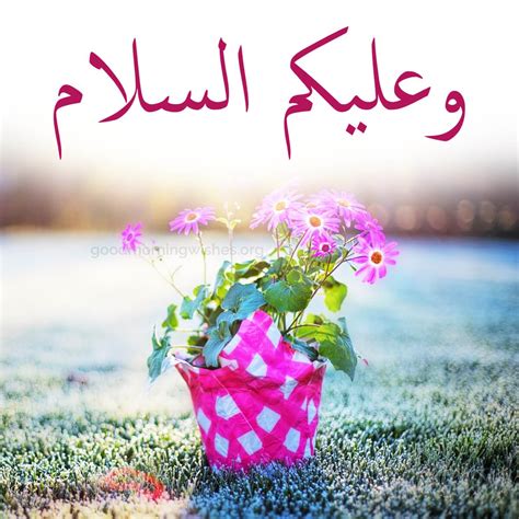 20 Good Morning Walaikum Assalam Images Good Morning Wishes