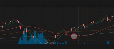 Predict Market Reversals Like a Pro With The MACD Indicator αlphαrithms