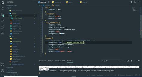 React Js Image Not Loaded From Public Folder In Css Html Css The
