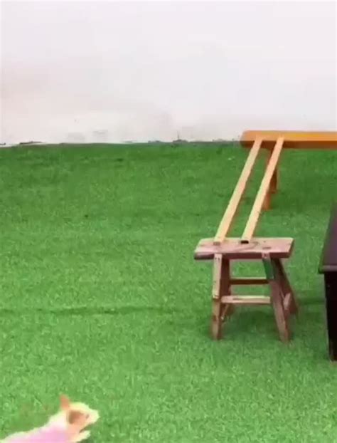 Sumedh Kamble On Linkedin This Is The Life Lesson And Real Route To Follow