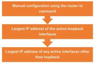OSPF Router ID Identify OSPF Routers How The OSPF Works N Study
