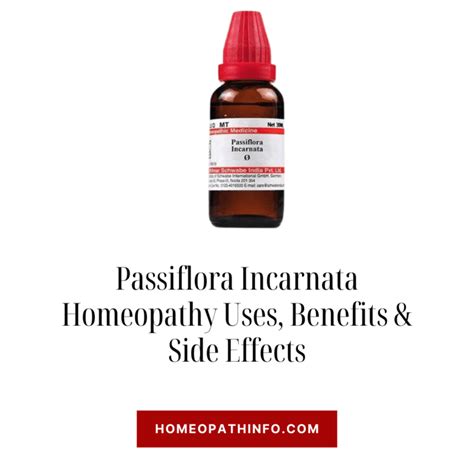 Passiflora Incarnata Homeopathy Uses Benefits And Side Effects
