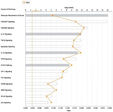 List Of The Top 15 Most Highly Significant Biological Pathways Targeted