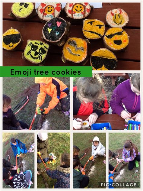 Priors Field Primary Forest School