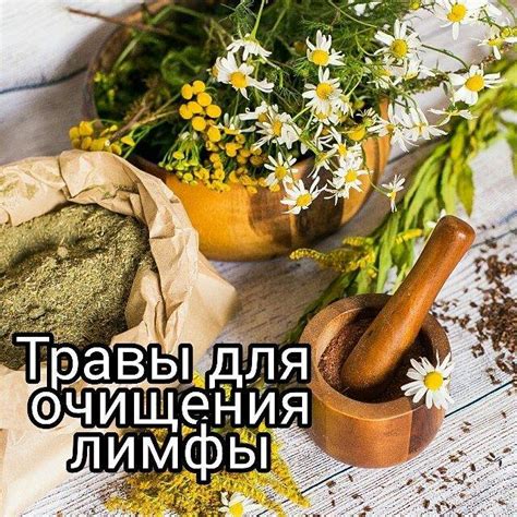 Мое здоровье 12 октября Всемирный день яйца Во многих странах мира во вторую пятницу