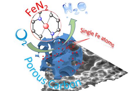 Single Atom Catalysts For Fuel Cells