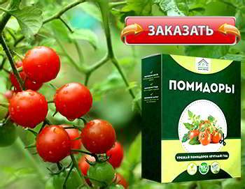 МИНИ ФЕРМА ПОМИДОРЫ купить в Германии. ОТЗЫВЫ!