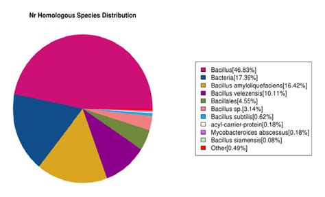 Nr Homologous Species Distribution Of B Subtilis Jf 4 Download