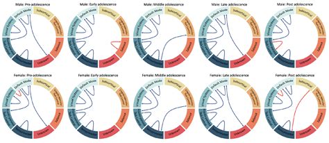 Explainable Multimodal Graph Isomorphism Network For Interpreting Sex