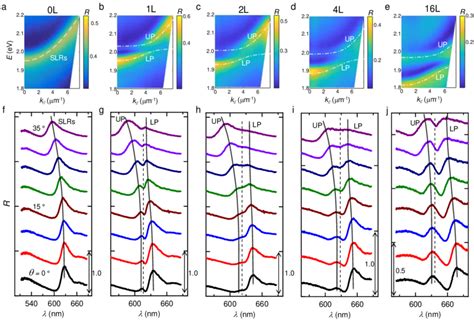 Dispersion Measurements A Angle Resolved Reflection Spectra Of The Download Scientific