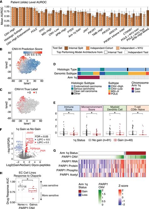 Proteogenomic Insights Suggest Druggable Pathways In Endometrial Carcinoma Cancer Cell