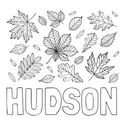 Hudson Coloring Page And Autumn Leaves Coloring Page