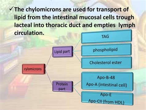 Mellss Yr1 Biochemistry Lipid Pptx