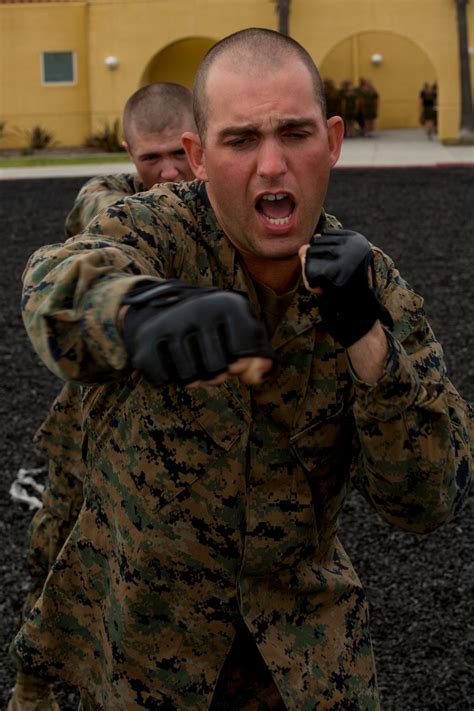 Dvids Images K Co Earns Their Mcmap Belts Image 4 Of 11