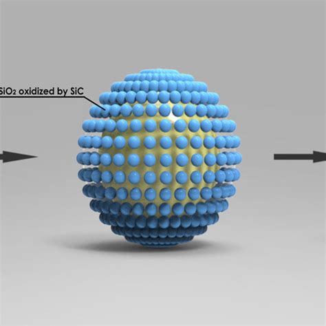 Schematic Of Cordierite Bonded Porous Sic Ceramics Process Download Scientific Diagram
