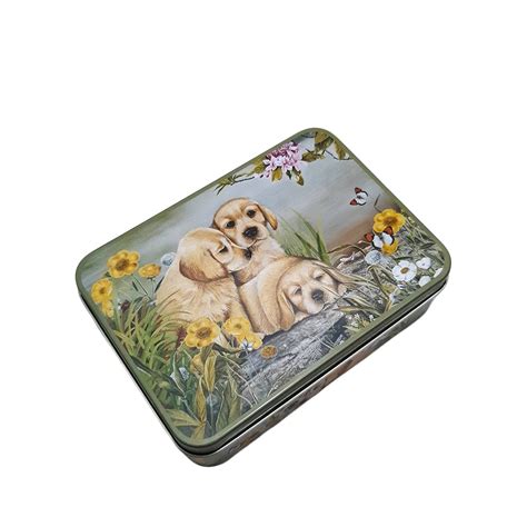 خرید آنلاین و قیمت جعبه هدیه مدل قوطی فلزی طرح ظرف غذای سگ کد 369 1403