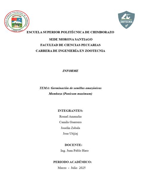 Semillas Nativas Mombasa Pdf Pasto Semilla