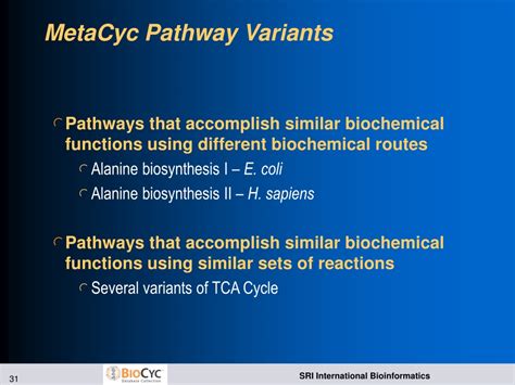 Ppt Pathway Tools Biocyc Fundamentals Powerpoint Presentation Free Download Id9360165